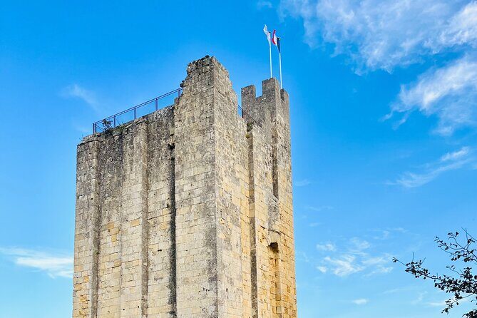 Group Tour - Saint Emilion walking tour + Tasting in Cave - Cave Tasting: A Hidden Gem for Wine Lovers