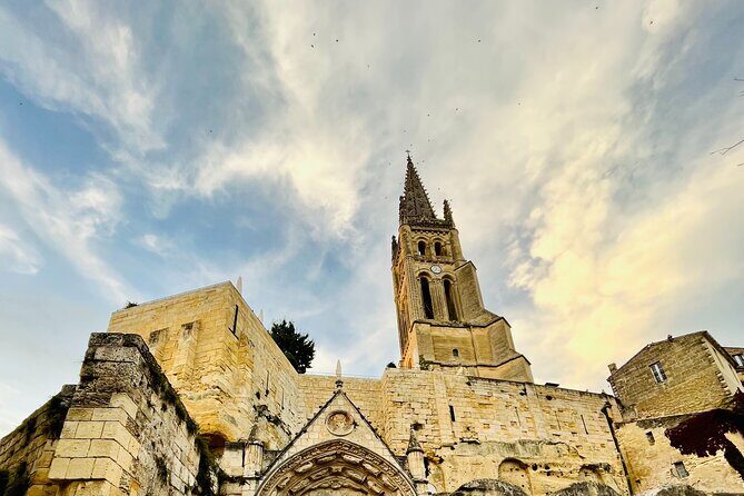 Group Tour - Saint Emilion walking tour + Tasting in Cave - Accessibility and Practical Tips