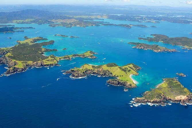 Group tour to Bay of Islands return from Auckland - What Travelers Love About This Tour