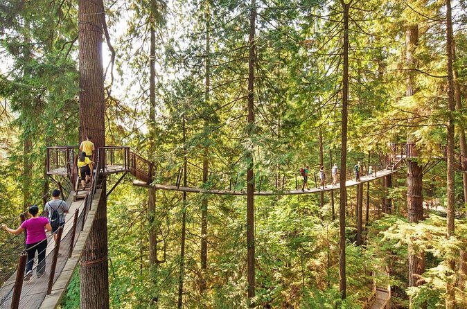 Grouse Hike and Capilano Bridge - The Sum Up: Who is This Tour Perfect For?
