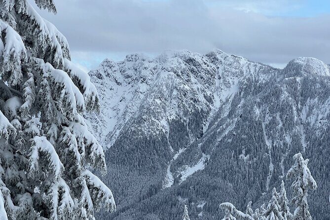 Grouse Mountain Snowshoeing Adventure with Scenic Skyride - An In-Depth Look at the Grouse Mountain Snowshoeing Tour