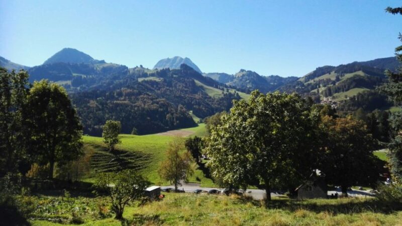 Gruyères, Cheese and Chocolate: Private Tour - Final Thoughts: Is This Tour Worth It?