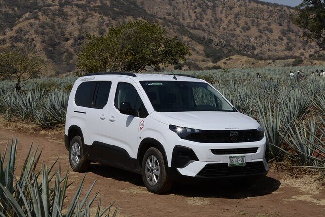 Guadalajara Airport Private Transfer to Ajijic & Chapala - What to Expect from Your Transfer Experience