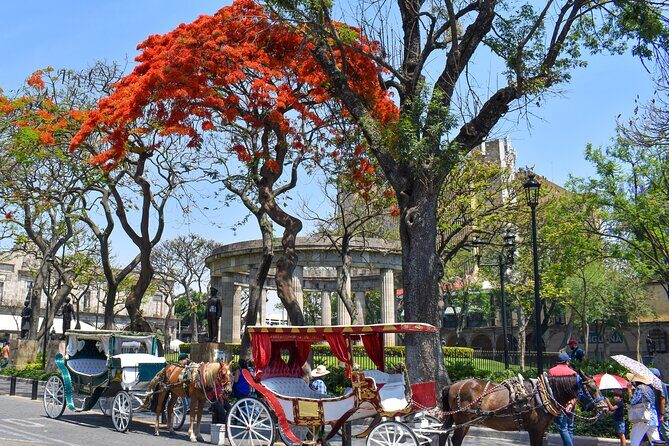 Guadalajara and Tlaquepaque: Private Full-Day Tour - FAQ