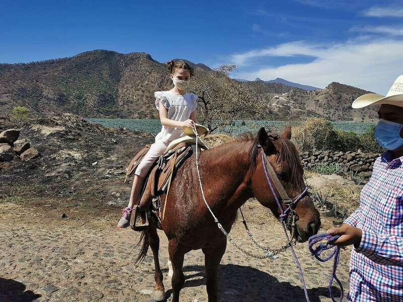Guadalajara: Horse Riding on the Tequila Route with Tastings - Key Points