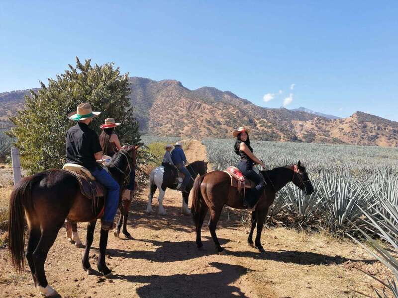 Guadalajara: Horse Riding on the Tequila Route with Tastings - Authentic Experiences and Unique Highlights