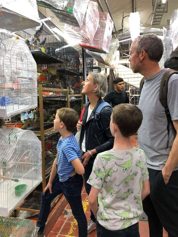 Guadalajara: Private Food Tour and Architecture Sightseeing - Final Thoughts