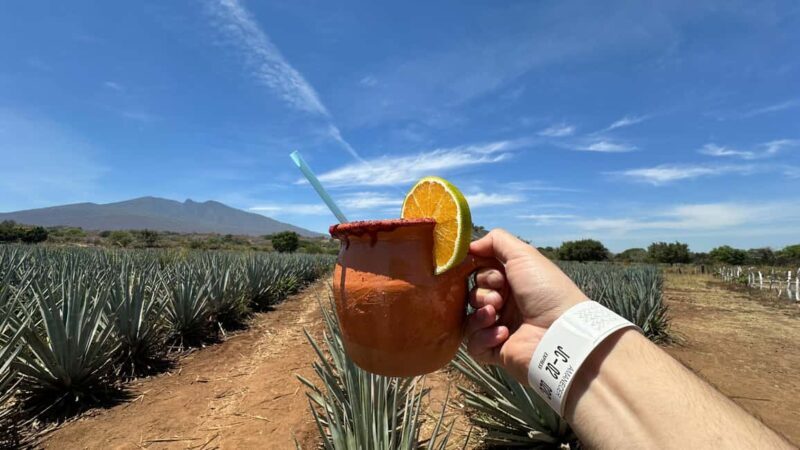 Guadalajara: Tequila Day Trip with Jose Cuervo Option - Key Points