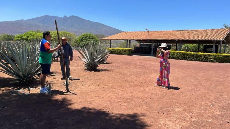 Guadalajara: Tequila Day Trip with Jose Cuervo Option - What Reviewers Say