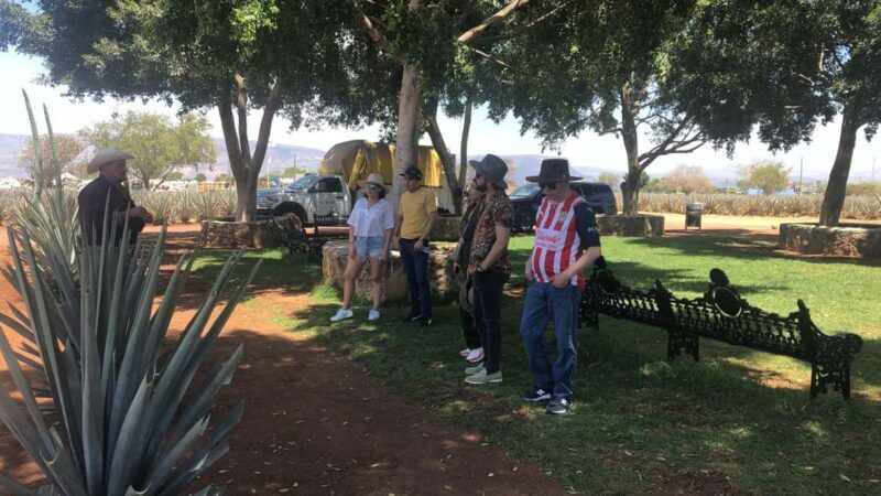 Guadalajara: Tequila Day Trip with Jose Cuervo Option - FAQ