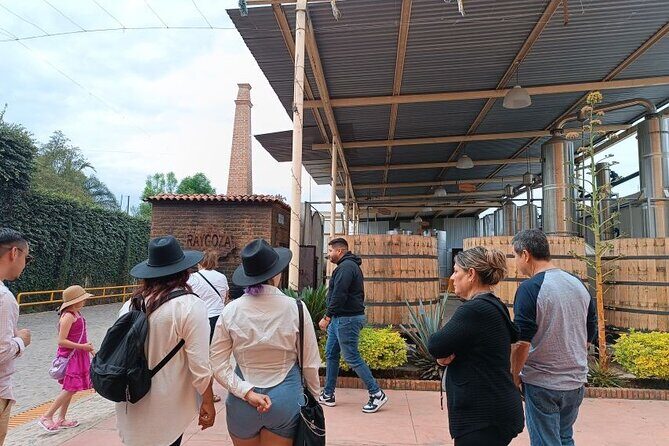 Guadalajara Tequila Tastings Tour - The Experience in Practice: What You’ll Actually Do