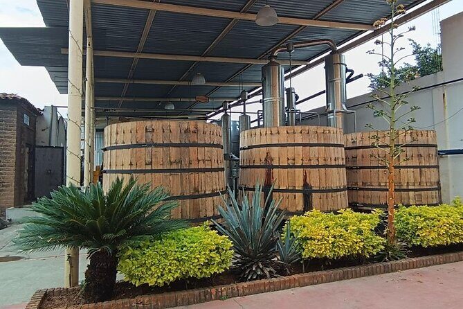 Guadalajara Tequila Tastings Tour - Authenticity and Value: What You Should Know