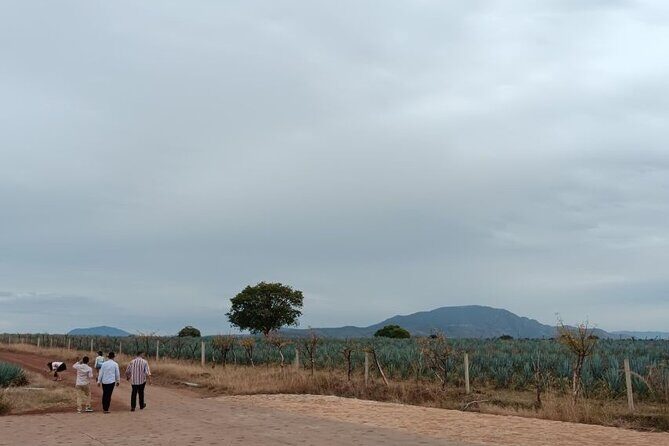 Guadalajara Tequila Tastings Tour - Final Thoughts