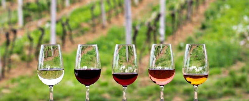 Guadalupe Valley: Complete Wine Route - Key Points