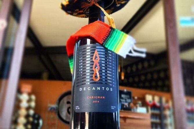 Guadalupe Valley Private Driver Tour - An In-Depth Look at the Guadalupe Valley Private Driver Tour