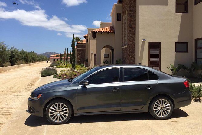 Guadalupe Valley Private Driver Tour - Who Is This Tour Best For?