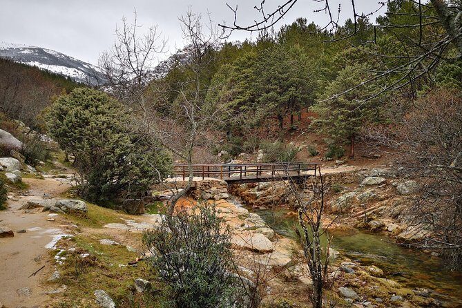 Guadarrama National Park from Madrid - Final Thoughts: Who Will Love This Tour?