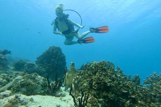Guam's Best Beach Diving! Beginner and Advanced Dives - Final Thoughts