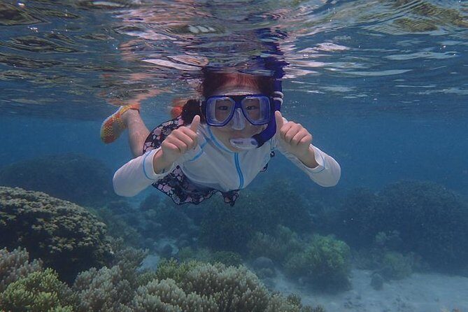 Guam's Private 5 Star Guided Snorkeling Tour! - Cost and Value Analysis