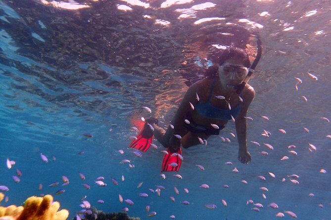 Guam's Private 5 Star Guided Snorkeling Tour! - FAQ