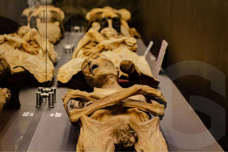 Guanajuato: Mummies, Mines and Tunnels Guided Group Tour - Who Would Love This Tour?
