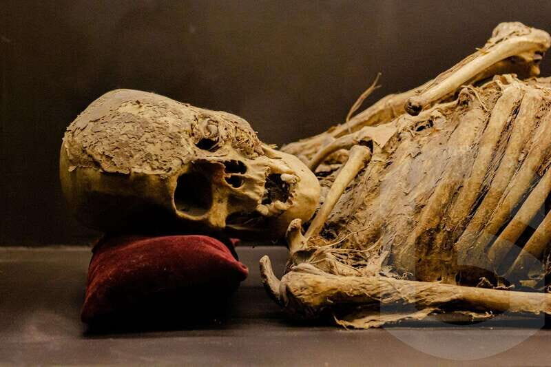 Guanajuato: Mummies, Mines and Tunnels Guided Group Tour - FAQ