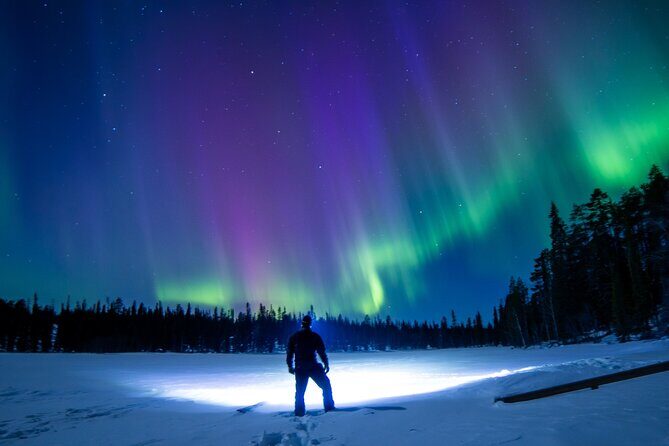 Guaranteed Aurora Hunting Tour from Rovaniemi with Local Guide - Key Points
