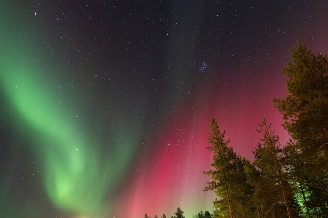 Guaranteed Aurora Hunting Tour from Rovaniemi with Local Guide - The Experience for Different Travelers