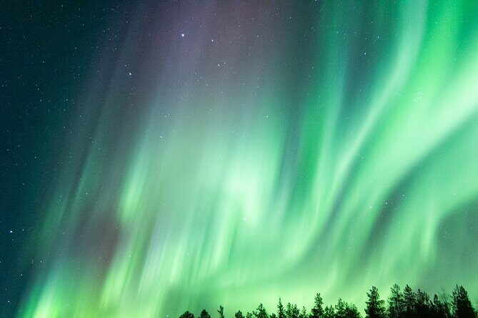 Guaranteed Aurora Hunting Tour from Rovaniemi with Local Guide - Final Thoughts