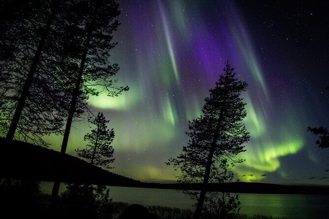 Guaranteed Aurora Hunting Tour from Rovaniemi with Local Guide - FAQ