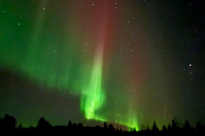 Guaranteed Northern Lights Tour in Rovaniemi - Potential Considerations