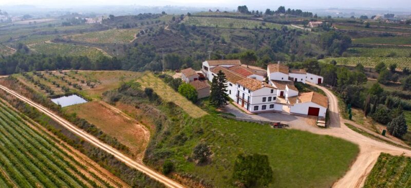 Guardiola de Font-Rubí: Winery & Grill Menu Tour - Exploring the Experience in Detail