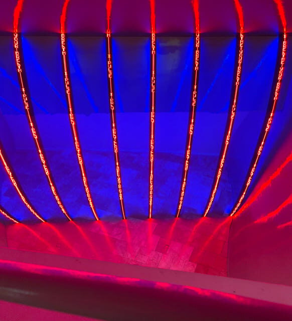 Guggenheim Museum Private Tour - The Sum Up