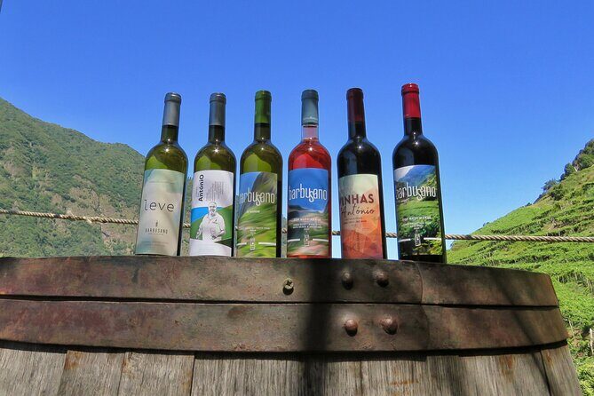 Guided 4x4 Adventure and Skywalk with Wine and Tapas in Madeira - Introduction