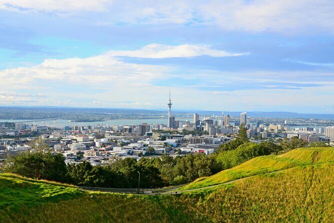 Guided Auckland Highlights Half Day City Tour - Practical Details and What You Need to Know