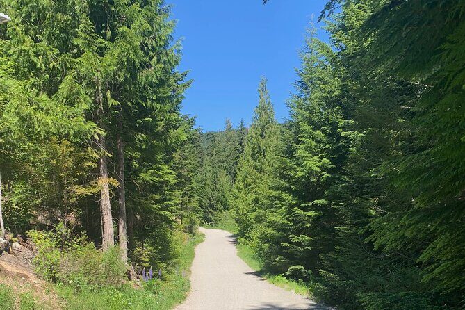 Guided Bike /E-bike Tour in Whistler From Vancouver - What’s Included and What to Consider