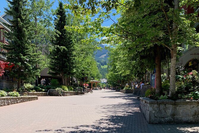 Guided Bike /E-bike Tour in Whistler From Vancouver - Final Thoughts: Is This Tour Worth It?