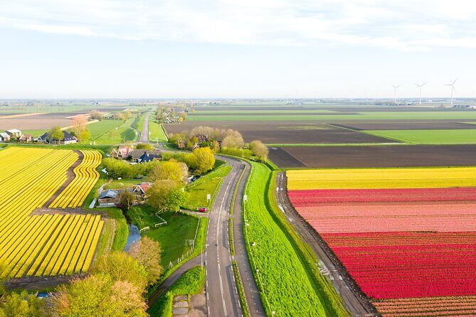 Guided Bike Tour along the Dutch Tulip Fields in Noord Holland - An Authentic, Scenic Journey through North Holland