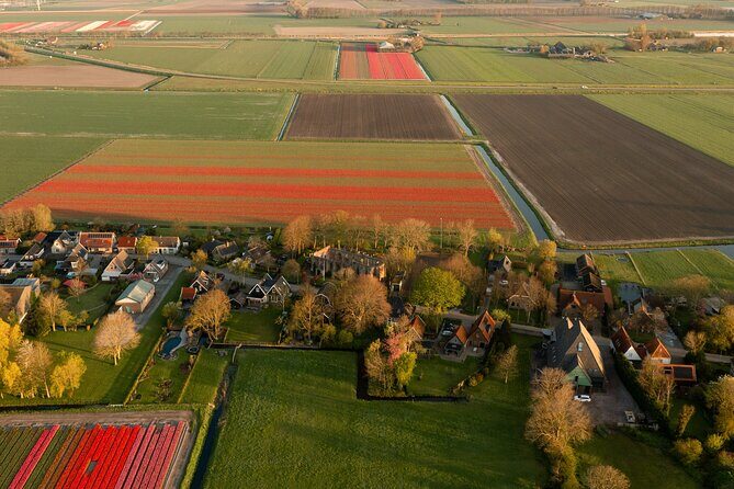 Guided Bike Tour along the Dutch Tulip Fields in Noord Holland - The Practicalities: What to Expect