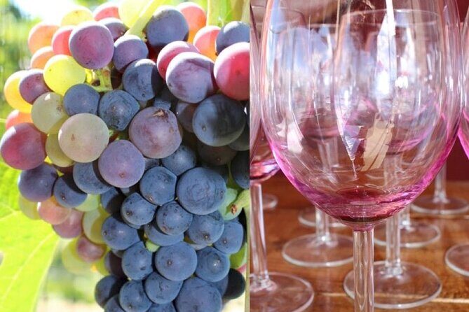 Guided Bike Tour on Historical Kettle Valley Railway at Myra Canyon & Wine Tour - An In-Depth Look at the Tour Experience