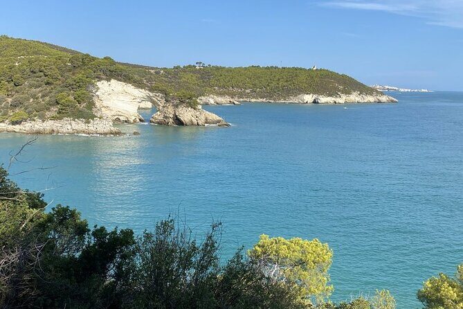 Guided Boat Tour Costa Del Gargano Caves Bays Tradition - End of the Tour
