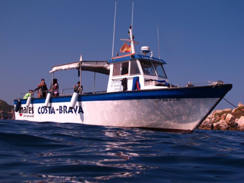 Guided Boat Tour to Medes Islands & Roca Foradada with Swim - Key Points