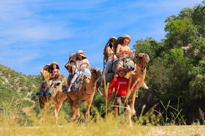 Guided Canyon Camel Ride in Wild Canyon Adventure Park - What to Consider Before Booking  