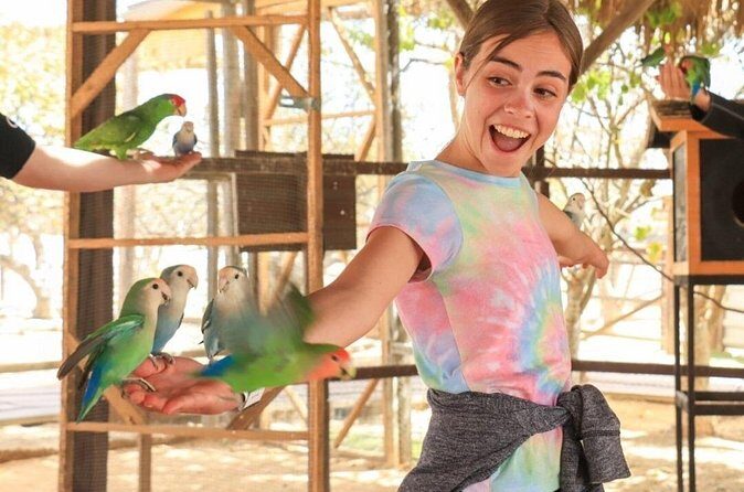 Guided Canyon Camel Ride in Wild Canyon Adventure Park - Final Thoughts: Is This Tour Right for You?  