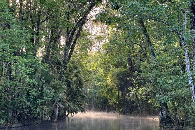 Guided Clear Kayak Tours on the Silver River - FAQ
