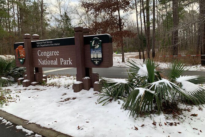 Guided Congaree National Park Kayak Tour - Practical Details: What You Need to Know