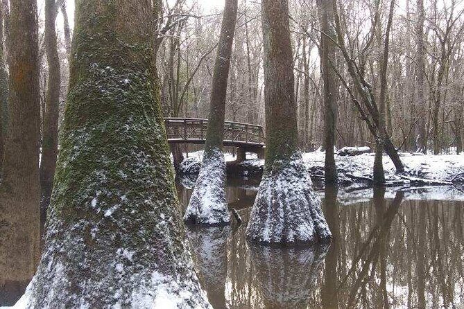 Guided Congaree National Park Kayak Tour - FAQ