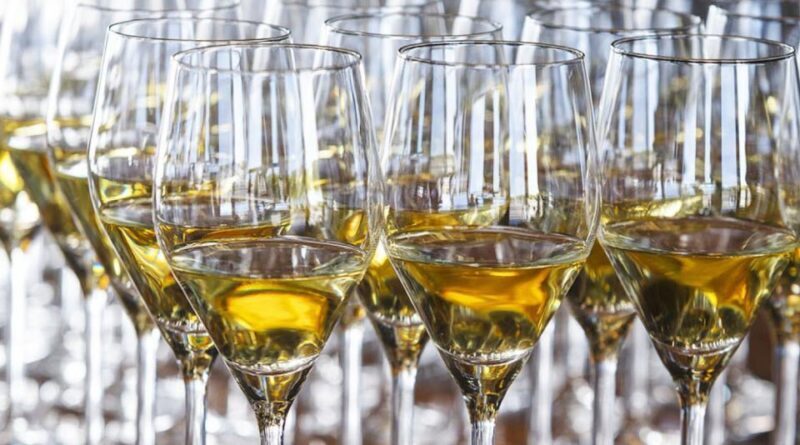 GUIDED CRUISE  BORDEAUX UNESCO - Who Will Appreciate This Tour?