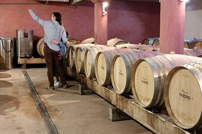 Guided Day Tour and Wine Tasting Northern Rhône Valley - Final Thoughts