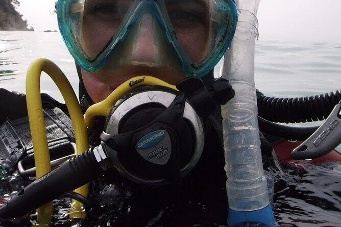 Guided dive for certified divers - What You Can Expect from the Brindisi Guided Dive Tour